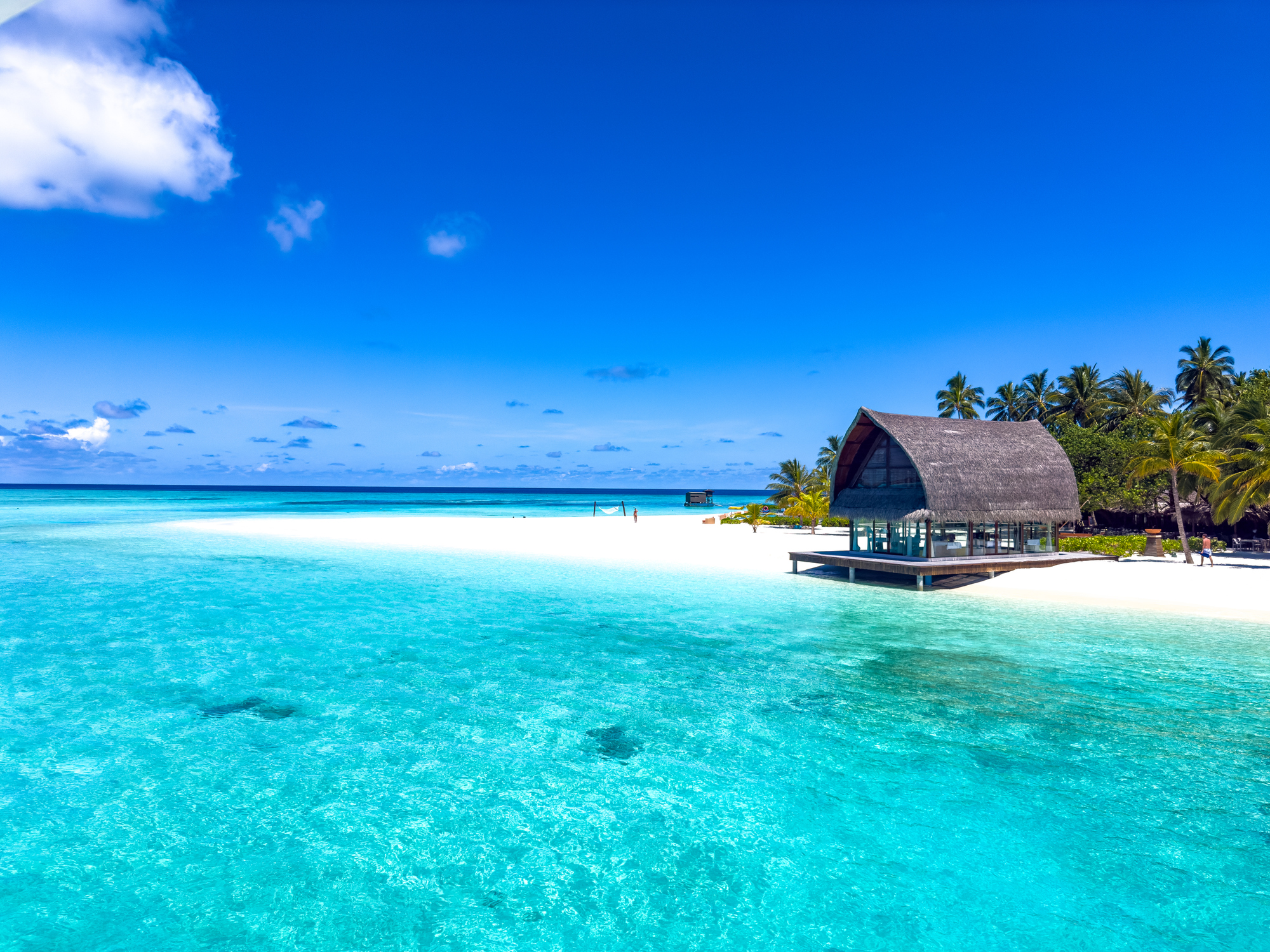 Découvrez les Maldives en 1 Semaine : Lhaviyani Atoll