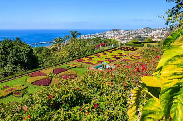 Lisbon and Madeira Itinerary | 11-Day Portugal & Madeira Road Trip